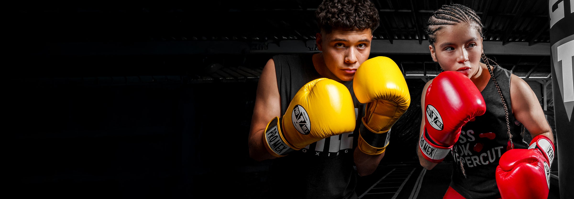 Title Boxing Equipment: Boxing Gloves, Punching Bags, Boxing Shoes