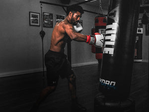 TITLE Rapid-Reflex Boxing Bar